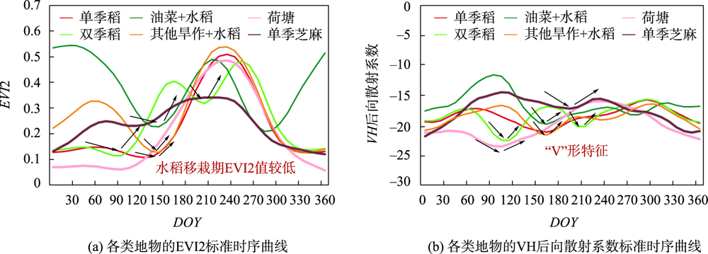 Mapping Paddy Rice Planting Patterns based on Sentinel-1/2